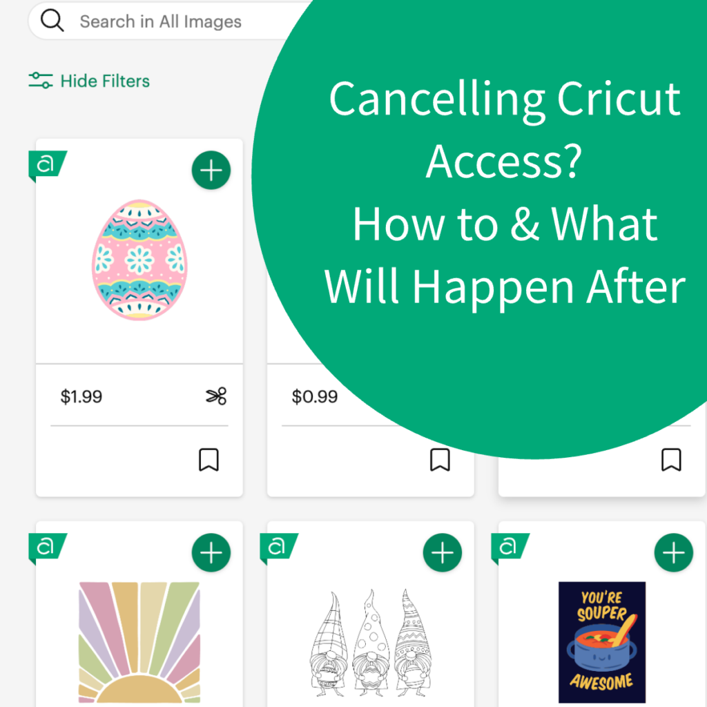 How To Use Contour In Cricut Design Space Dinosaur Mama